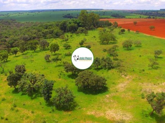 Sítio a venda em Uberlandia MG 24 hectares Na beira do rio Completo!