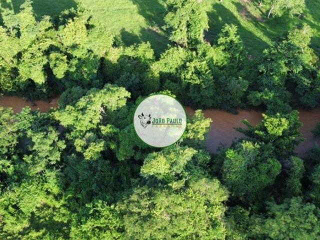 Sítio a venda em Unaí MG 24.5 Hectares Pastos formados curral completo rio canabrava