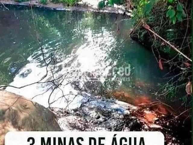 Sítio à venda, Flamenguinho, Ibaiti, PR