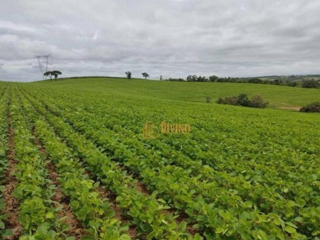 Sítio à Venda – Pilar do Sul/SP – Região de Sorocaba