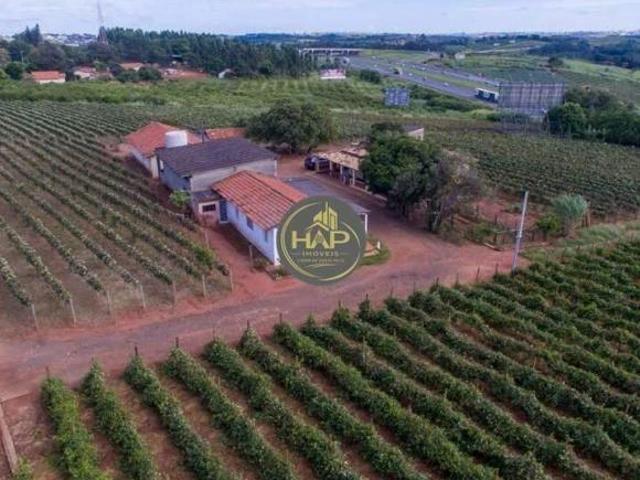 Sitio a Venda produção de Uva