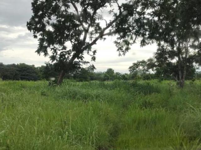 Sítio a Venda próximo a Vila Aguaçu. Distrito de Cuiabá. Mato Grosso