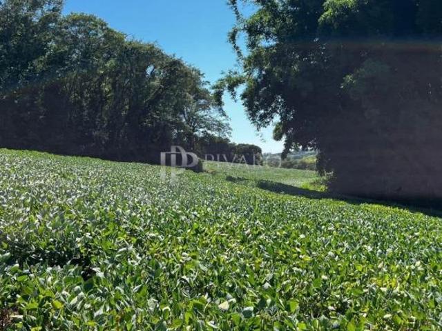 Sítio à venda próximo ai trevo de Uraí