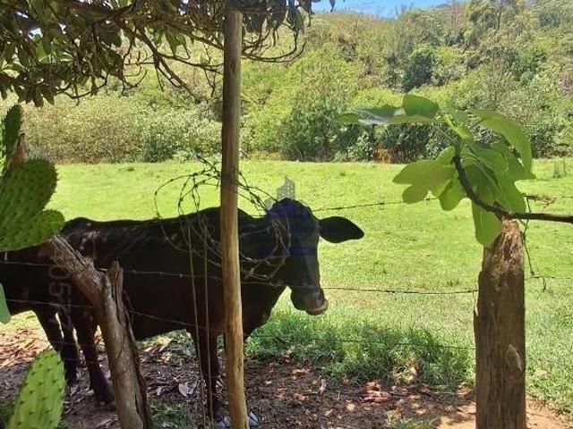 SÍTIO A VENDA PROXIMO DO CENTRO DE SÃO LUIZ DO PARAITINGA