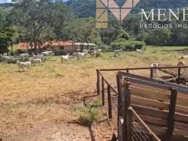 Sítio à venda proxima a rodovia de Cristais Paulista