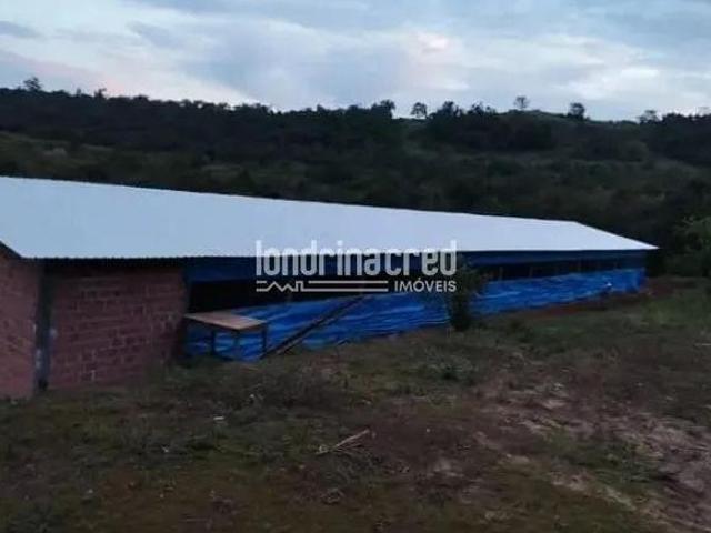 Sítio à venda, RURAL, Tamarana, PR
