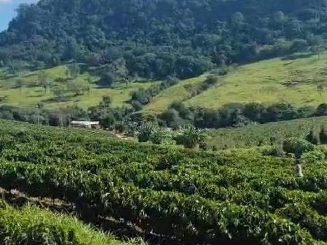 Sítio à venda sentido Ibiraci
