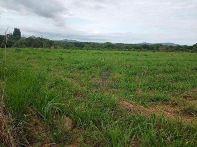 Sítio à venda, 160000 m² por R$ 490.000,00 Centro Padre Bernardo/GO