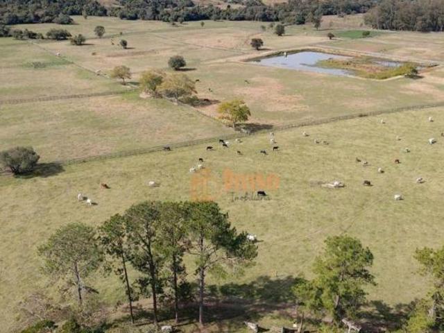 Sítio à venda, 165044 m² por R$ 3.000.000 Zona Rural Tatuí/SP