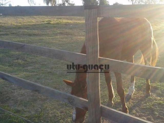 Sítio à venda, 180900 m² por R$ 3.850.000,00 Caiacatinga Porto Feliz/SP
