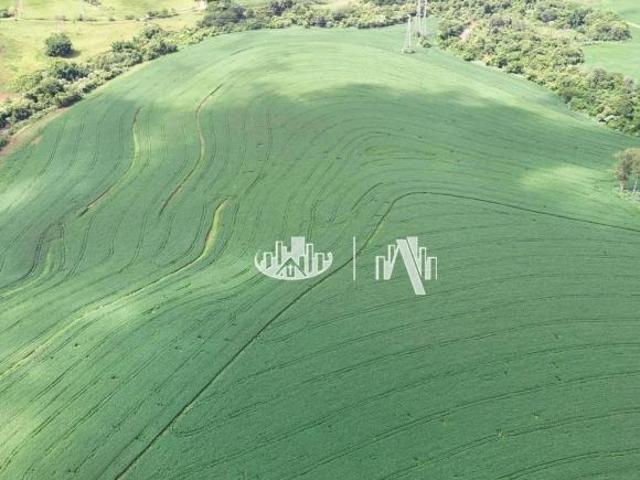 Sítio à venda, 121000 m² por R$ 2.500.000,00 Patrimonio Espirito Santo Londrina/PR