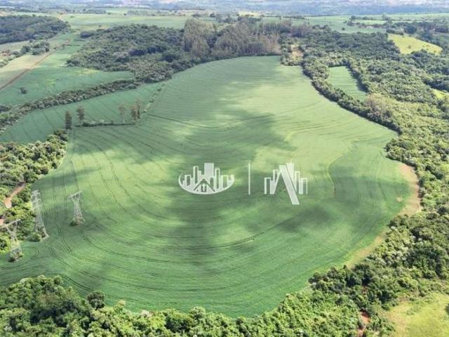 Sítio à venda, 132000 m² por R$ 2.700.000,00 Patrimonio Espirito Santo Londrina/PR