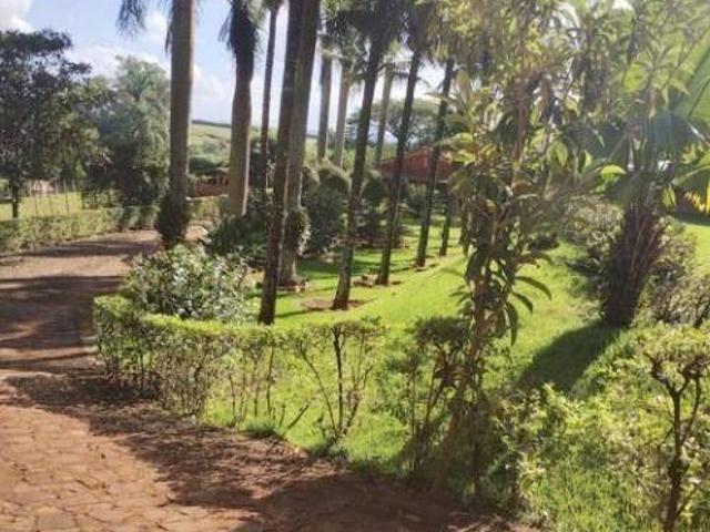 Sítio à venda, 24000 m² Centro Leme/SP