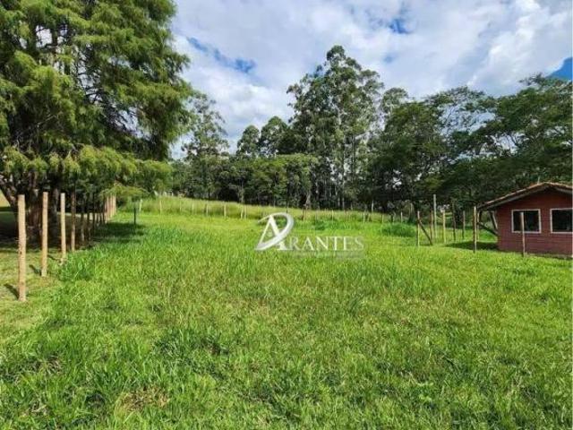 Sítio à venda, 24000 m² por R$ 1.299.000,00 Divininho Nazaré Paulista/SP