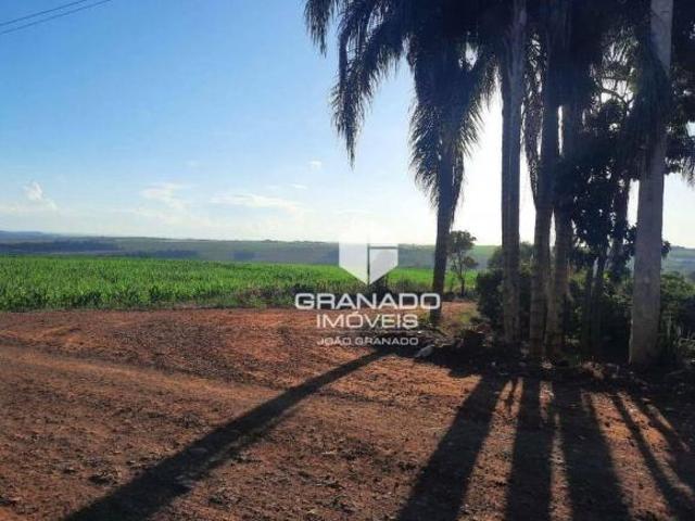 Sítio à venda, 242000 m² por R$ 8.250.000,00 São Domingos Maringá/PR
