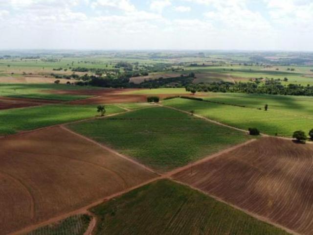 Sítio á venda, 24.200 m2 ao lado do asfalto em Limeira por R$ 450.000