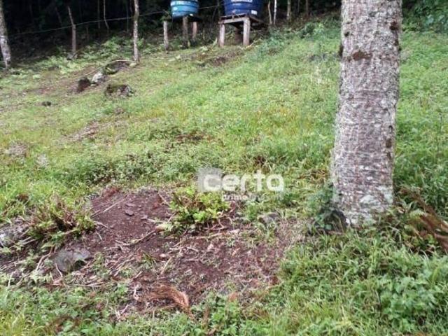 Sítio à venda, 28000 m² por R$ 1.200.000,00 Eugenio Ferreira Canela/RS