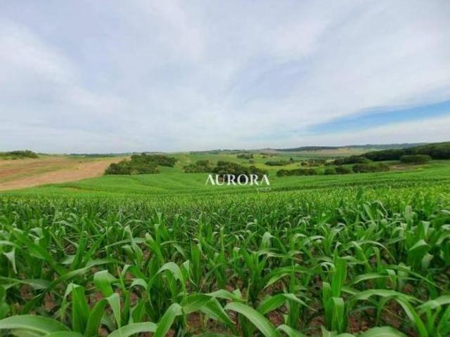 Sítio à venda, 290400 m² por R$ 4.000.000,00 Zona Rural Itambé/PR