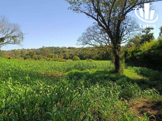 Sítio à venda, 20000 m² por R$ 550.000,00 Camanducaia Pedreira/SP