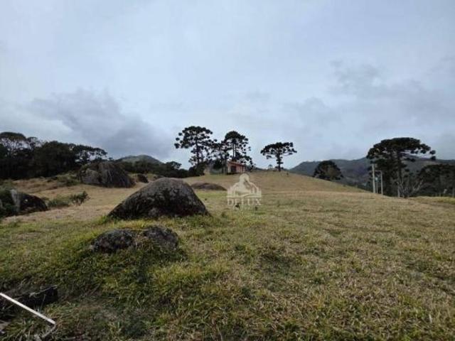 Sítio à venda, 20000 m² por R$ 750.000 Taboão km 63 Cunha/SP