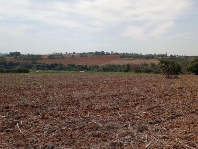 SÍTIO Á VENDA, 20.000 M ² em Artur Nogueira por R$ 350.000,00