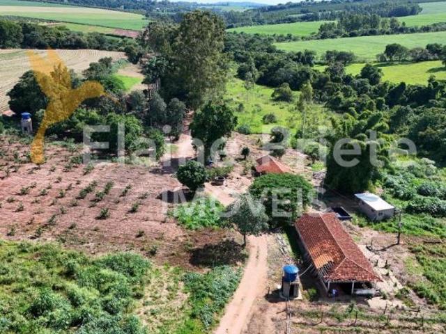 SÍTIO À VENDA – 2,8 ALQUEIRES – DESCALVADO