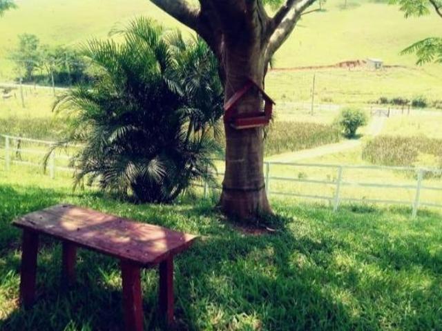 Sítio à Venda 36.000m² com Casa de 273m² Próximo à Cachoeira Grande, Ideal para Moradia ou Airbn