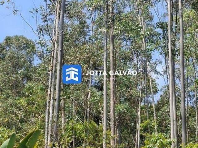 sitio a venda 387.200,0000 m² Juquiá SP