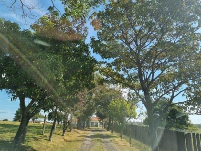 Sítio à venda, 309000 m² por R$ 3.500.000,00 Morro do Alto Itapetininga/SP