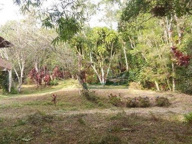 Sítio à venda, 48400 m² por R$ 2.000.000,00 Biritiba Ussu Mogi das Cruzes/SP