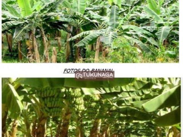 Sítio à venda, 494000 m² por R$ 741.000,00 Zona Rural. Juquiá/SP