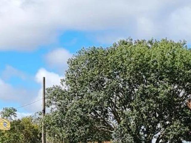 Sítio à Venda 49.000 m² de Área no Bairro Douradinho Piedade/SP | Ideal para Agricultura e Lazer