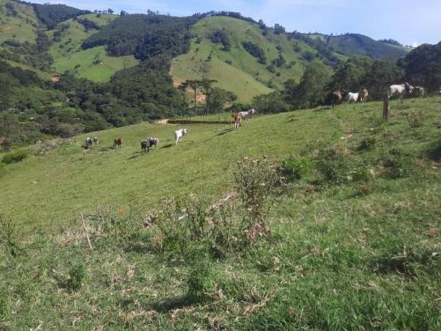 Sítio à venda, 411400 m² por R$ 1.200.000,00 Dos Pintos Joanópolis/SP