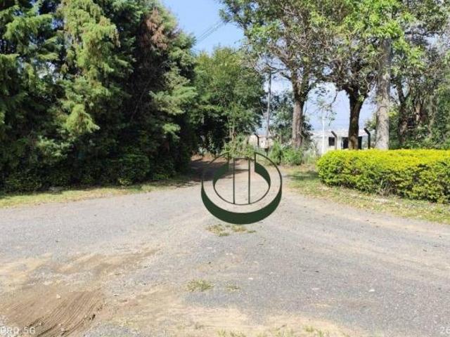Sítio à venda, 5000 m² por R$ 425.000