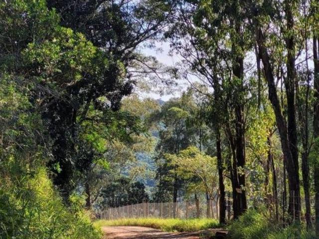 Sítio à venda, 5000 m² por R$ 130.000,00 Neópolis Gravataí/RS