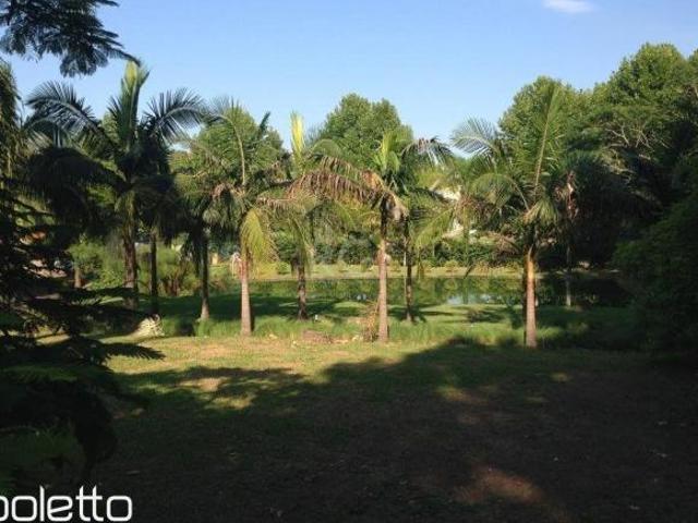 Sítio á venda, 5000 m² R$ 6.000.000,00 Rincão dos Ilhéus Estância Velha/RS
