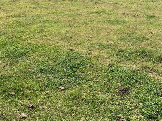Sítio à venda, 532400 m² por R$ 3.500.000,00 Faisqueira Pouso Alegre/MG