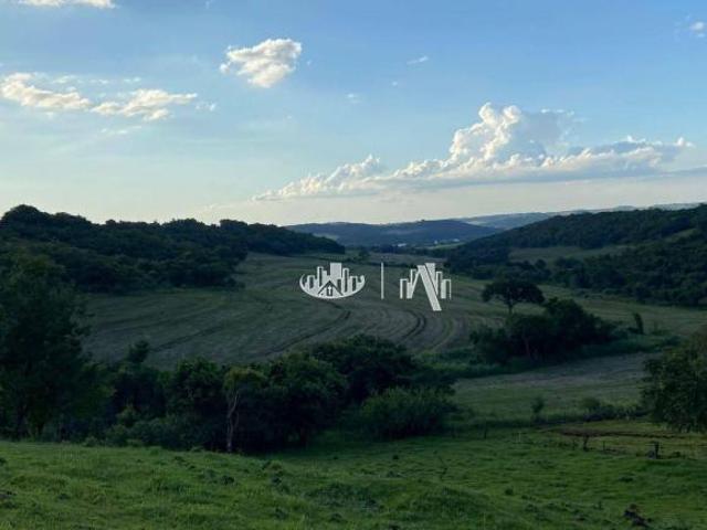 Sítio à venda, 653400 m² por R$ 4.900.000,00 Zona Rural Assaí/PR