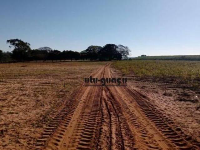 Sítio à venda, 676874 m² por R$ 8.000.000,00 Jurumirim Avaré/SP