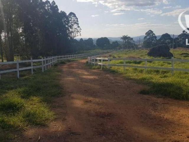 Sítio à venda, 60000 m² Bairro dos Rosas Amparo/SP