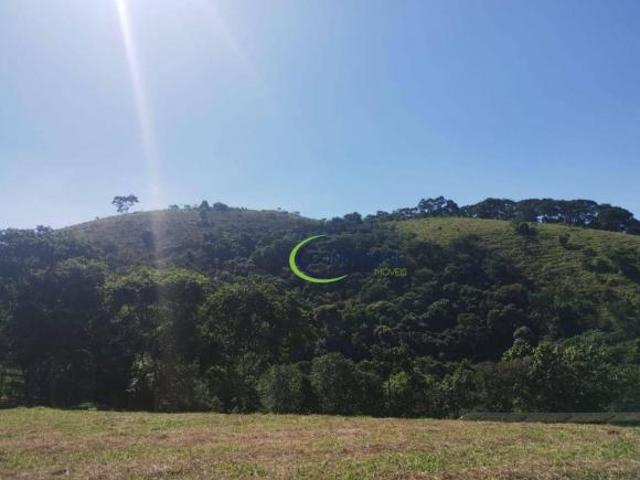 Sítio à venda, 605000 m² por R$ 13.200.000,00 Roncador São Francisco Xavier/SP