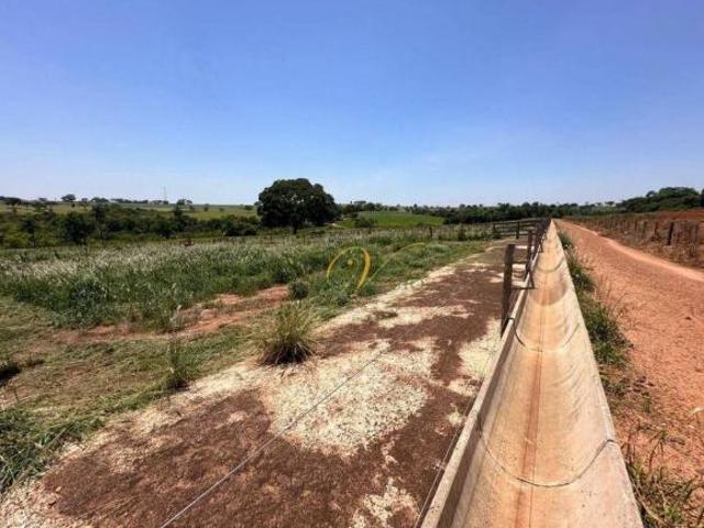 Sítio à venda, 635734 m² por R$ 8.000.000 Rural Nova Granada/São Paulo