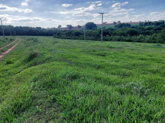 Sítio à Venda: 6,18 Alqueires em Iacanga SP Região de Bauru