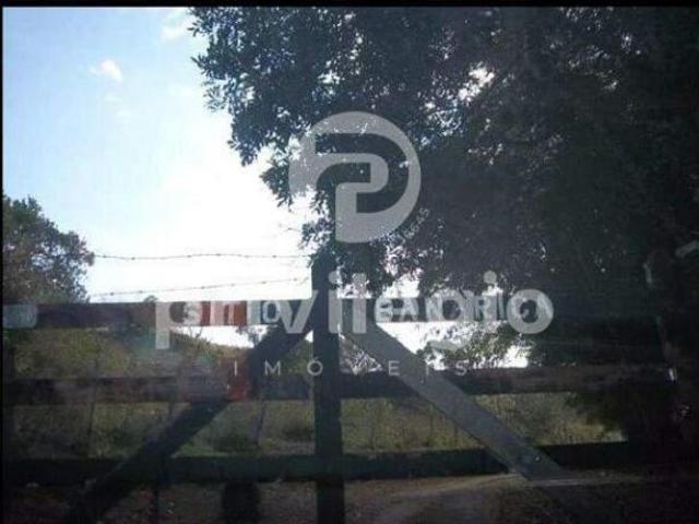 Sítio à venda, 6 quartos, 1 suíte, 3 vagas, Barreira do Triunfo Juiz de Fora/MG