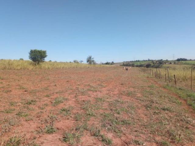 Sítio á Venda 72.600 m 2, com Água em Artur Nogueira por R$ 1.190.000