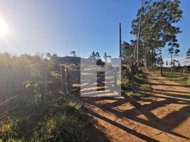 Sítio à venda, 84000 m² por R$ 1.260.000,00 Joaquim Egídio Campinas/SP