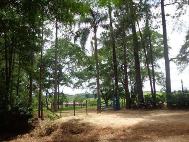 Sítio à venda, 82038 m² por R$ 2.200.000,00 Tabarro Porto Feliz/SP