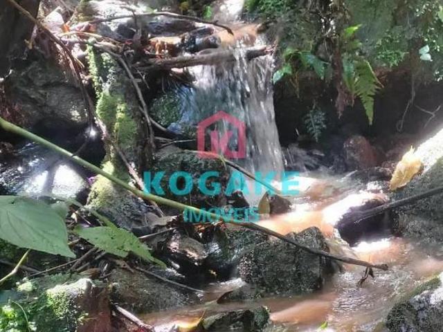 Sítio à venda, 95000 m² por R$ 1.500.000,00 Zona Rural Monteiro Lobato/SP