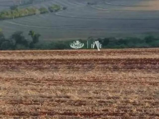 Sítio à venda, 96800 m² por R$ 5.700.000,00 Rural Londrina/PR