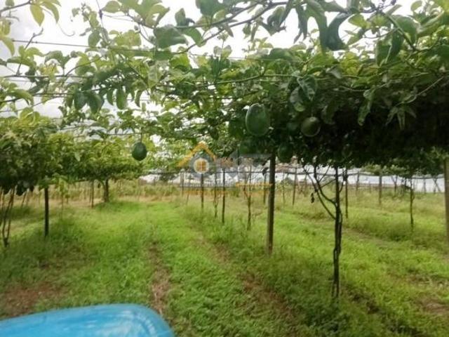 Sitio, Abaitinga, São Miguel Arcanjo, SP